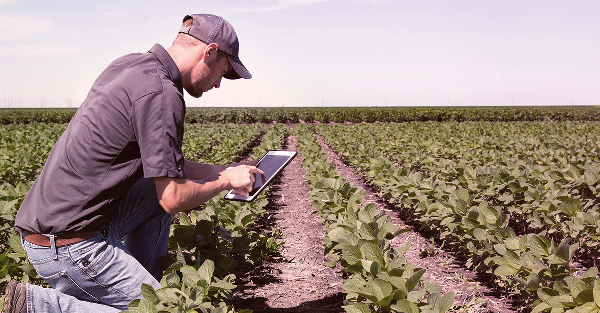 Cultivating innovation: A guide to claiming the R&D Tax Incentive in ...