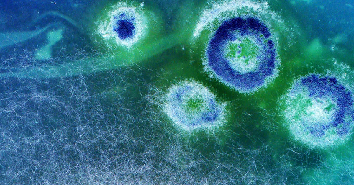 Biotechnology Report 2019 | Grant Thornton Australia