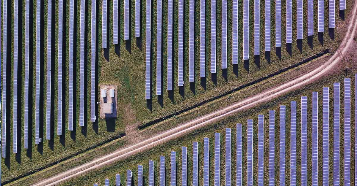 Environmental, Social and Governance (ESG) and Sustainability | Grant ...